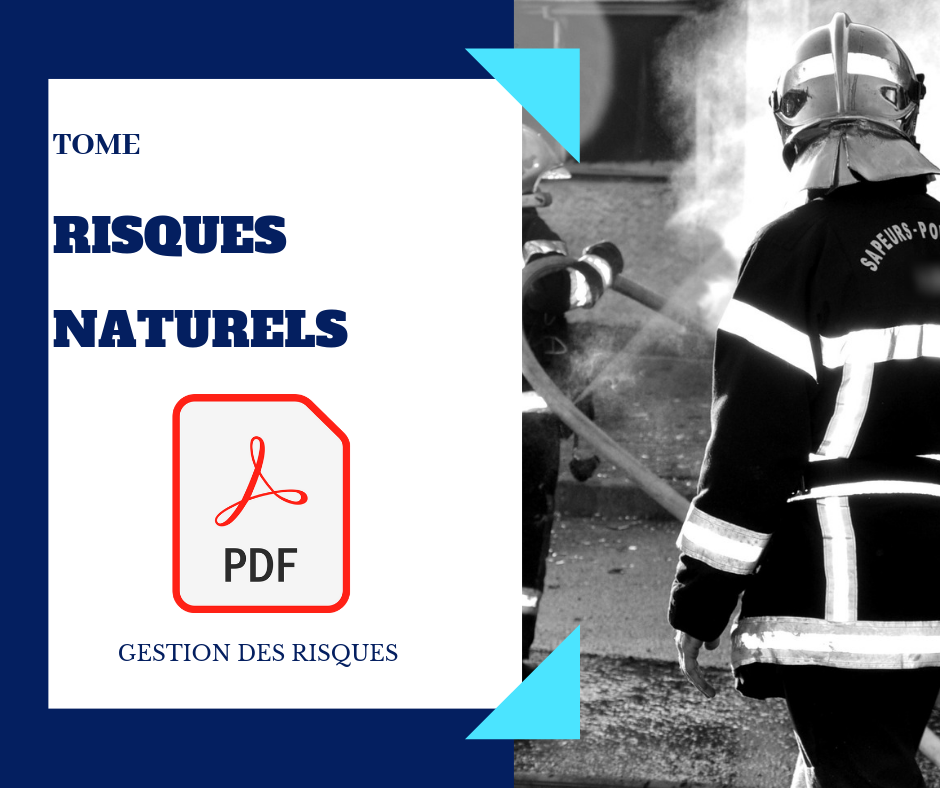 Gestion des risques - Tome 4 - Risques naturels - Info Pompiers